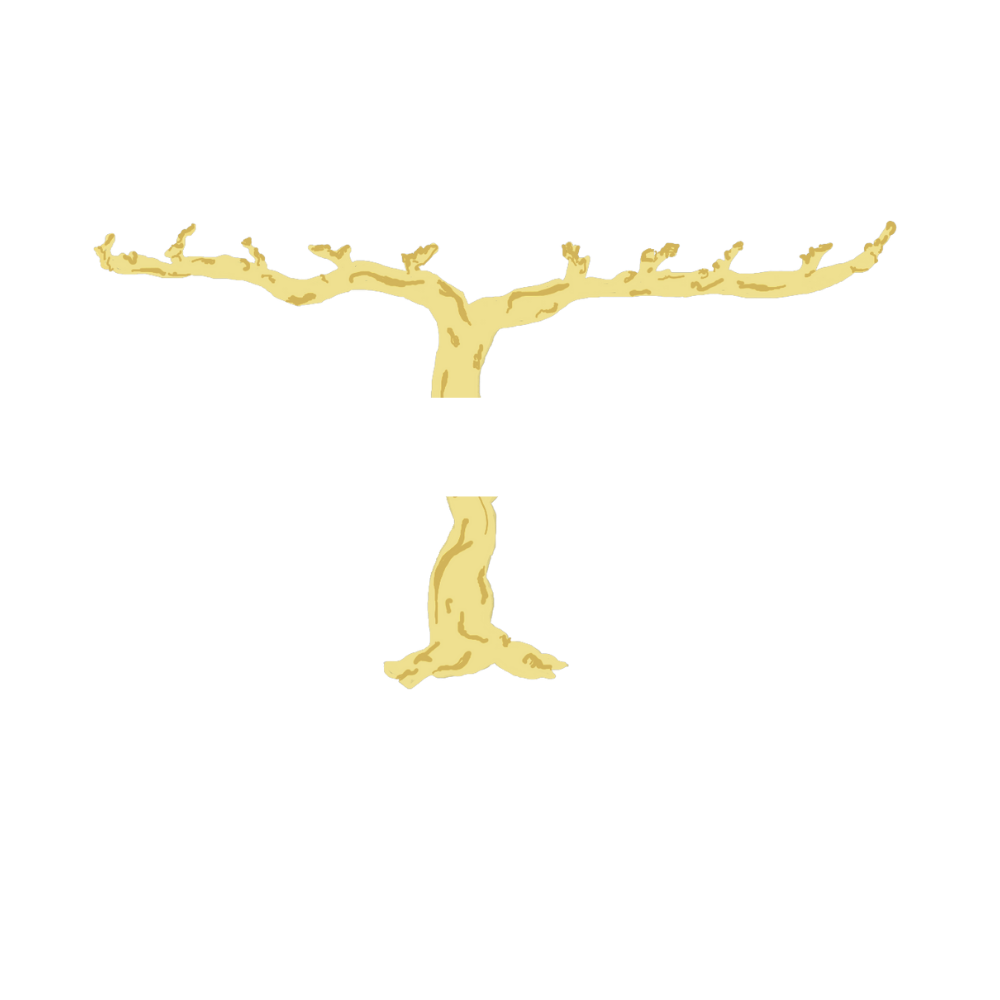 Home | VINE ART